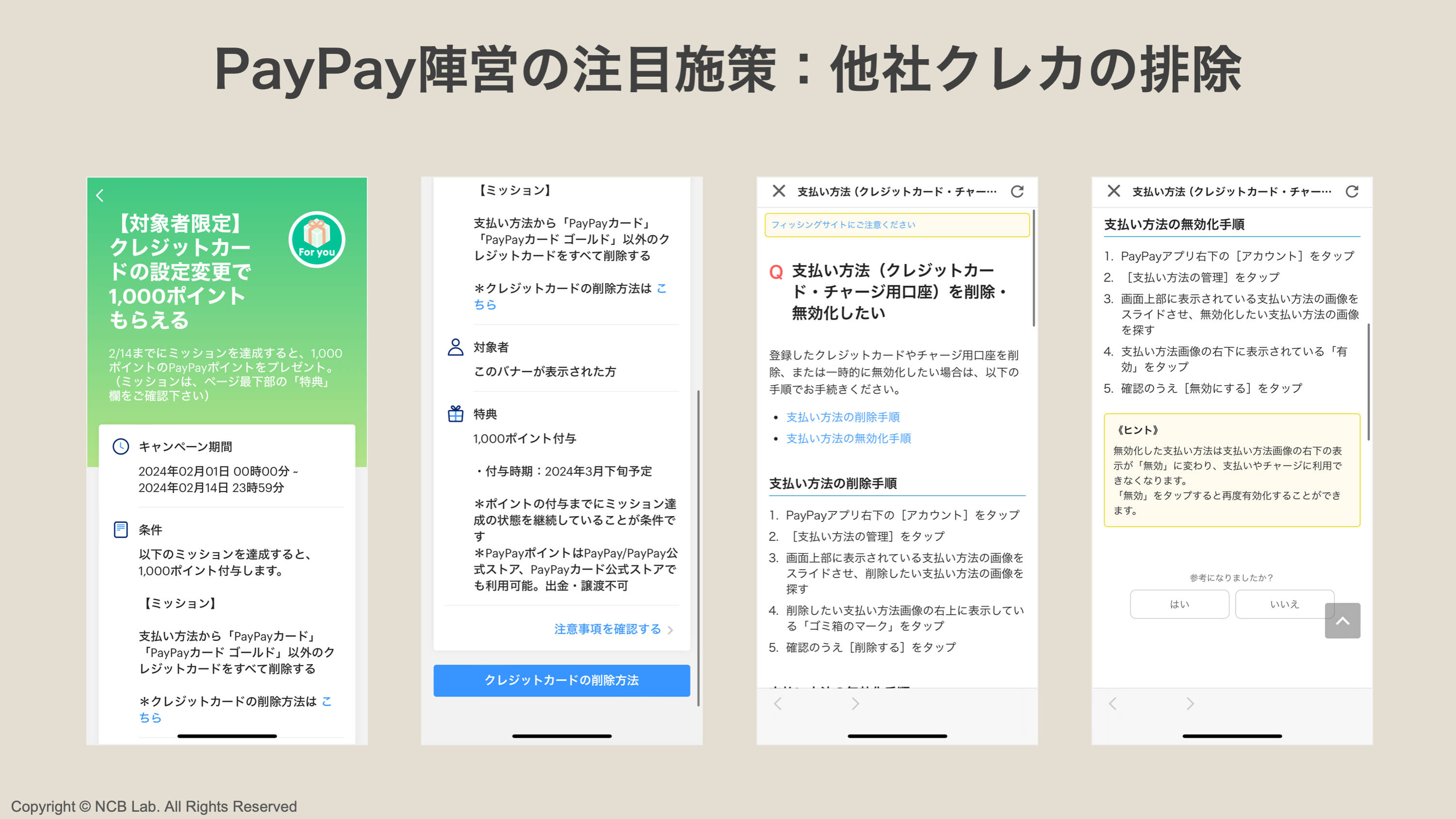 #3【混沌】決済1本足打法 vs 二刀流ポイント の行方 | NCB Library 金融・決済の ”なぜ?!” が見える