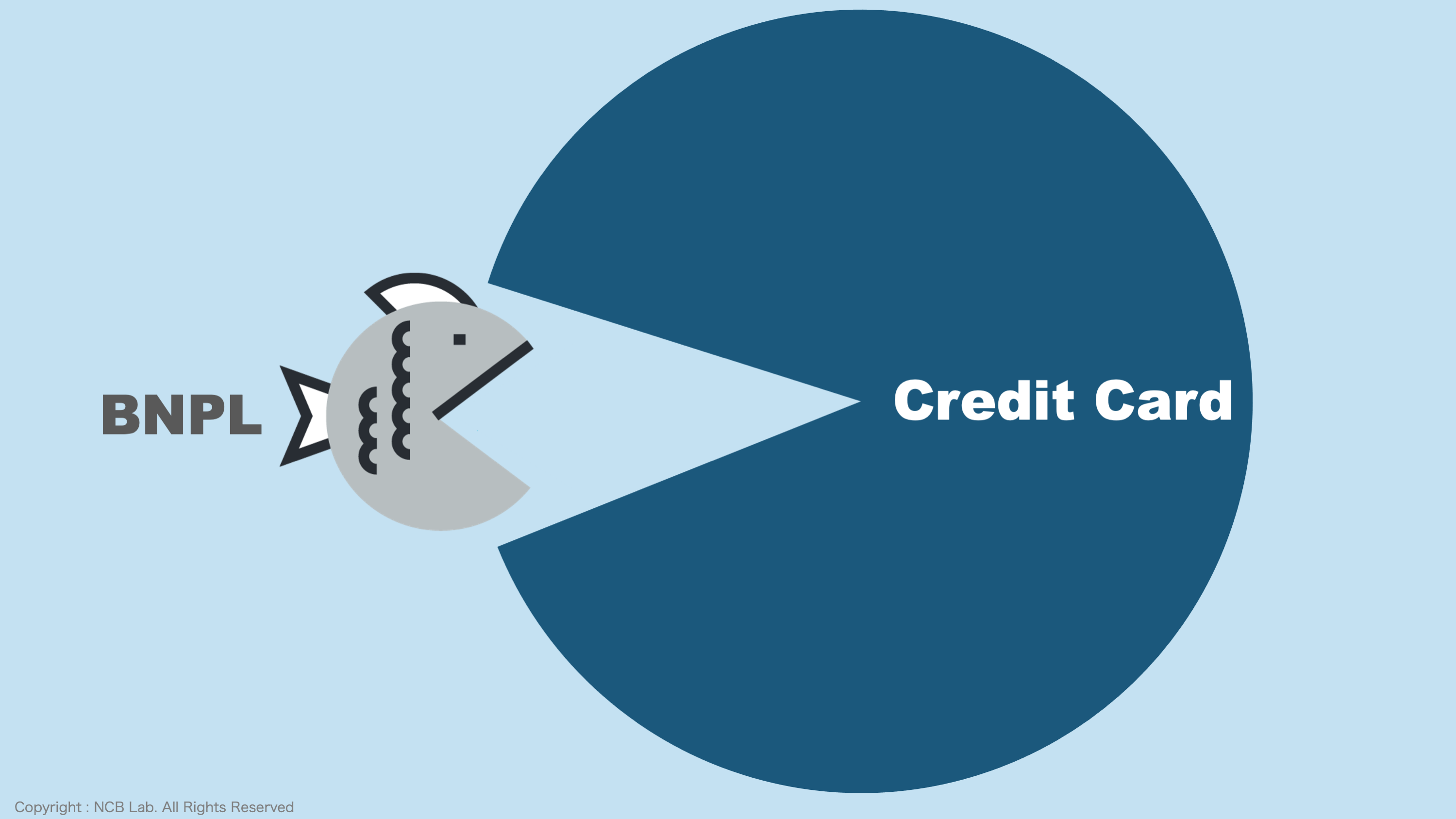 BNPLがクレジットカードを侵食する | NCB Library 金融・決済の ”なぜ?!” が見える
