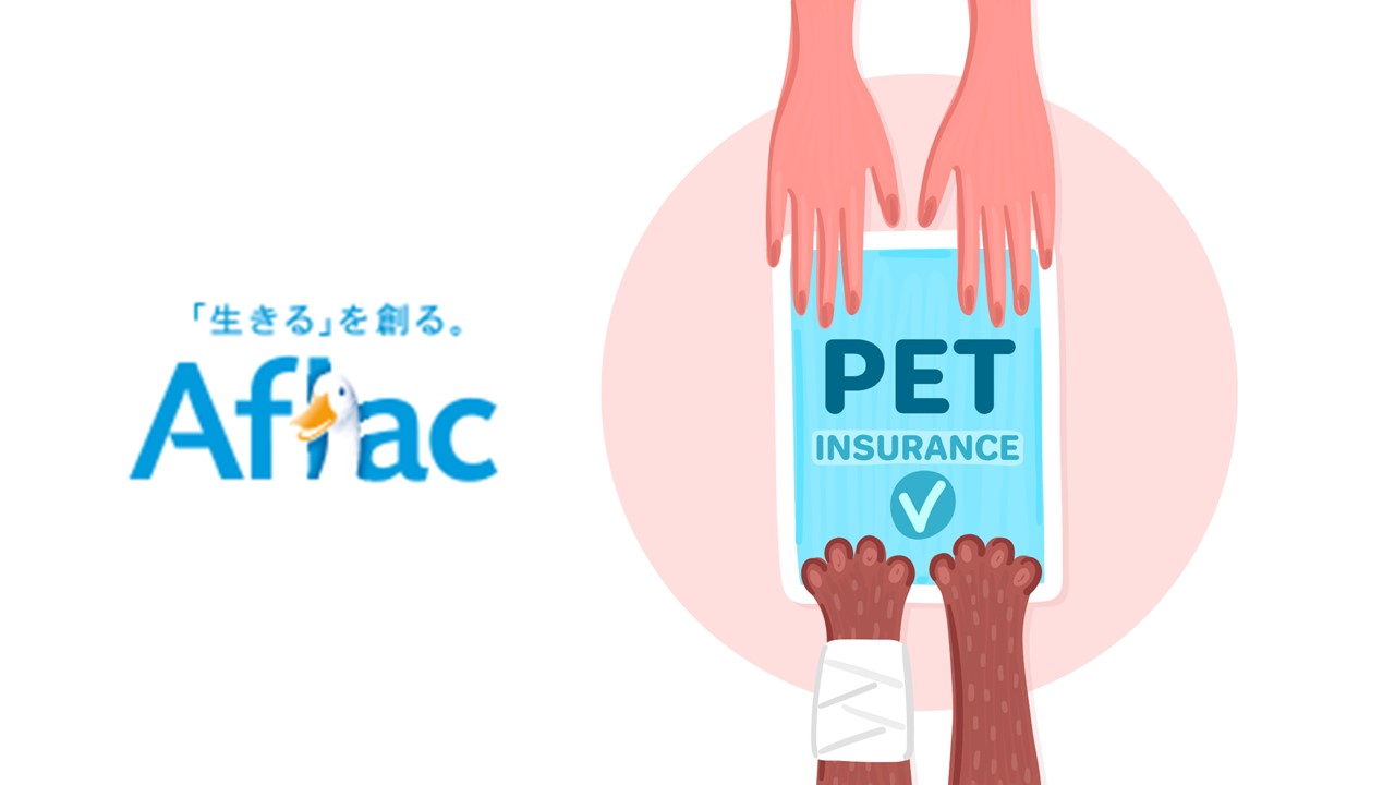 ペット保険、業務開始 | NCB Library プロが解説するFinTechニュース