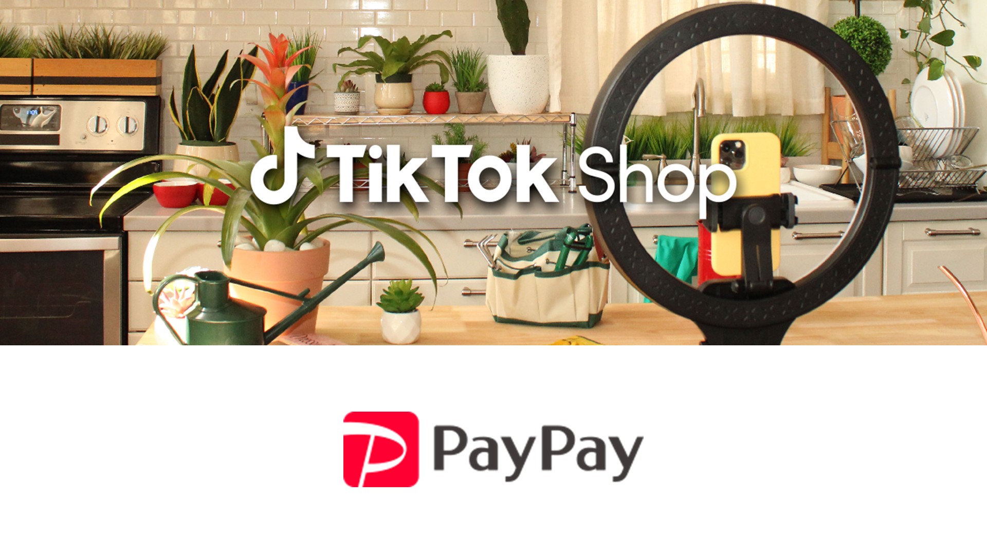 SNSから直接買う時代の到来 | NCB Library 金融・決済の ”なぜ?!” が見える