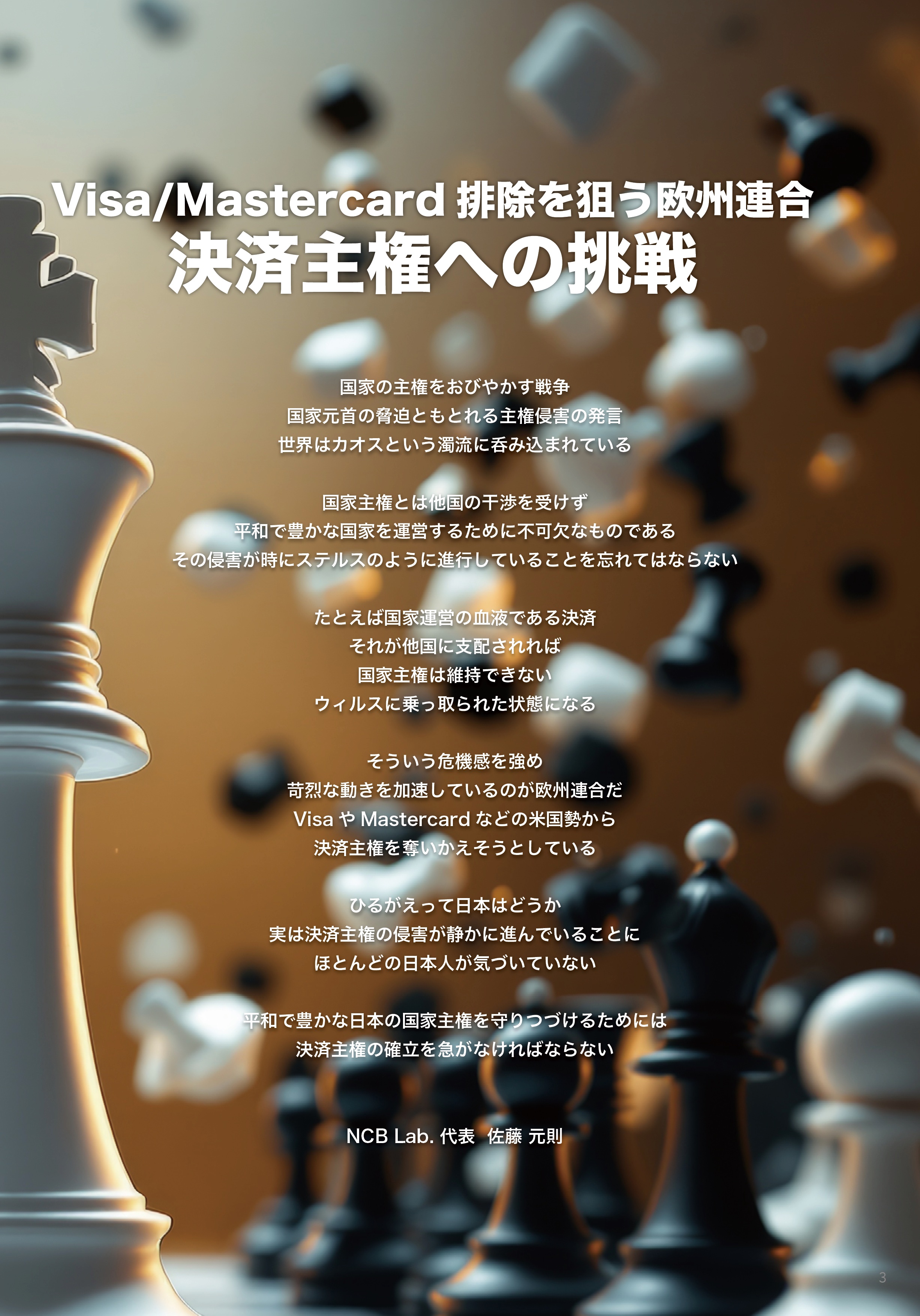 Visa/Mastercard 排除を狙う欧州連合 決済主権への挑戦 | NCB Library 金融・決済の ”なぜ?!” が見える